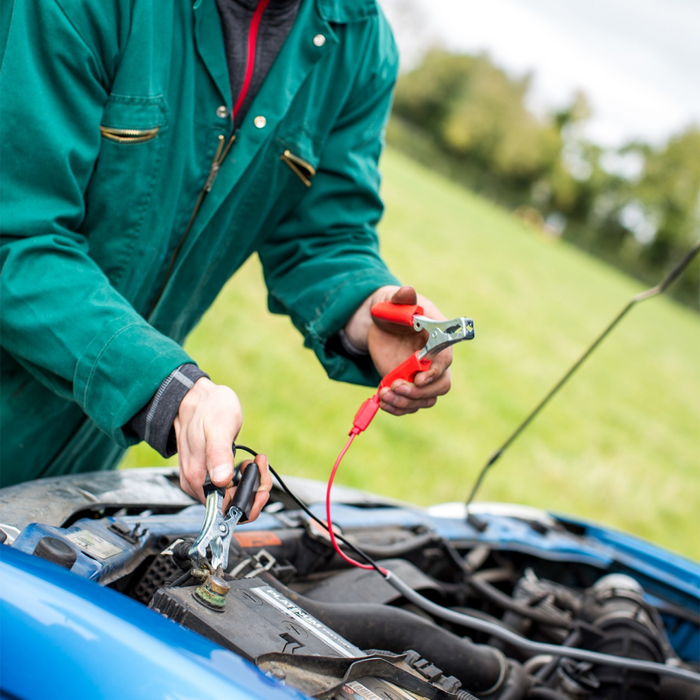 Kingspan TruckMaster® Portable Diesel Storage Dispensing Tank 53 Gal L ...